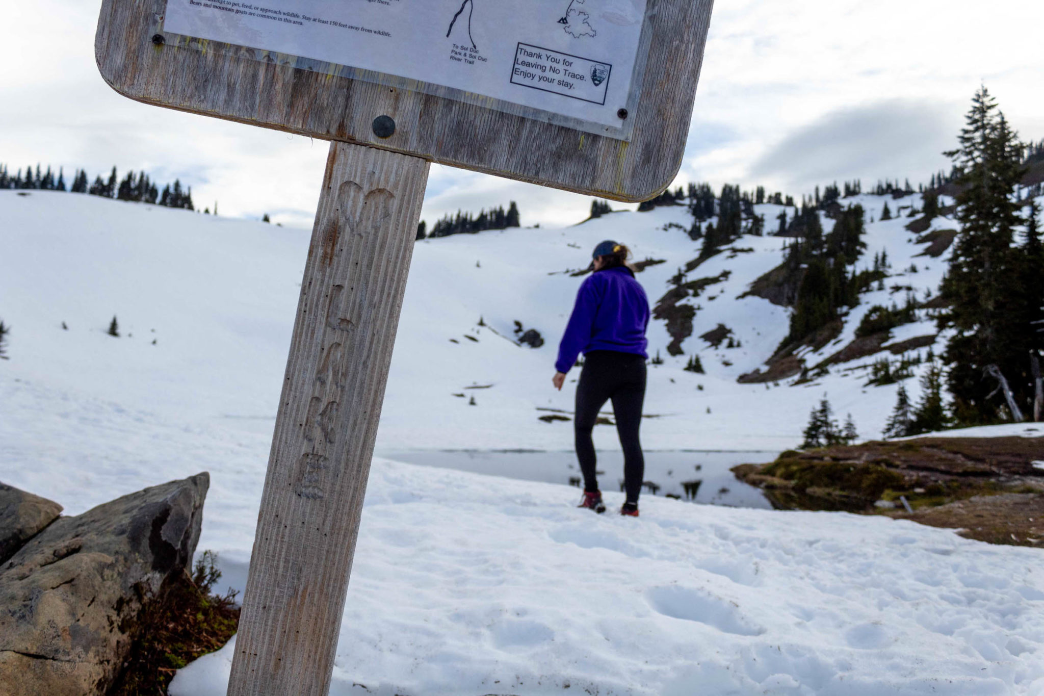 salty | high divide loop - alpine wanderlust