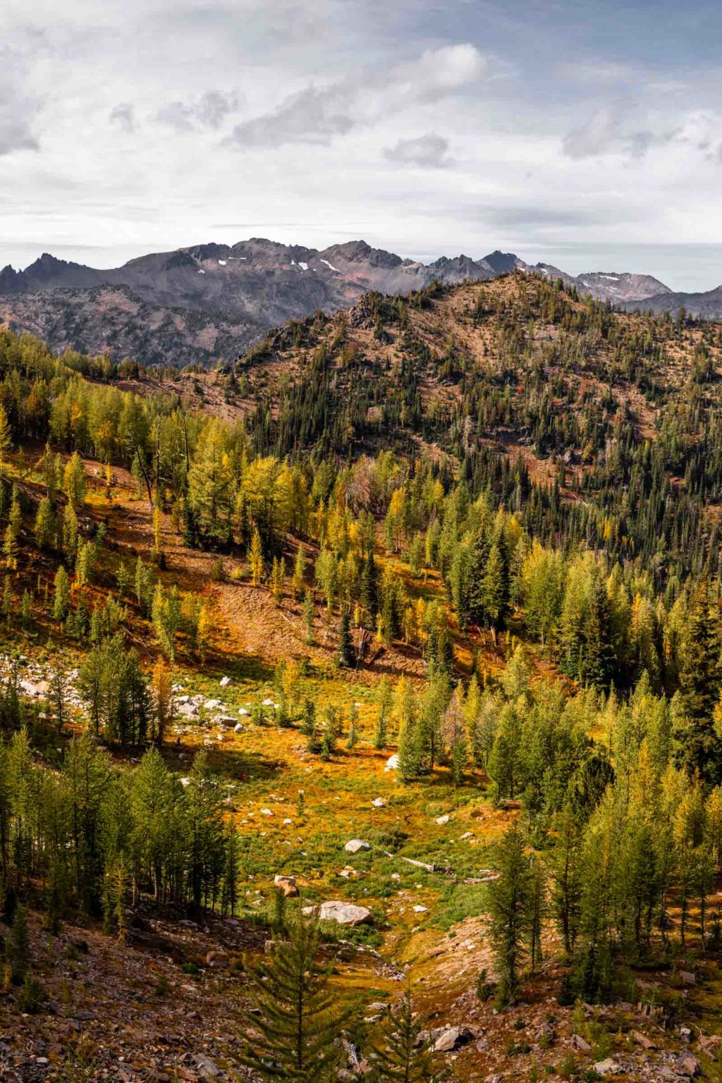 a larch guide | 20+ crowd-free washington hikes - alpine wanderlust
