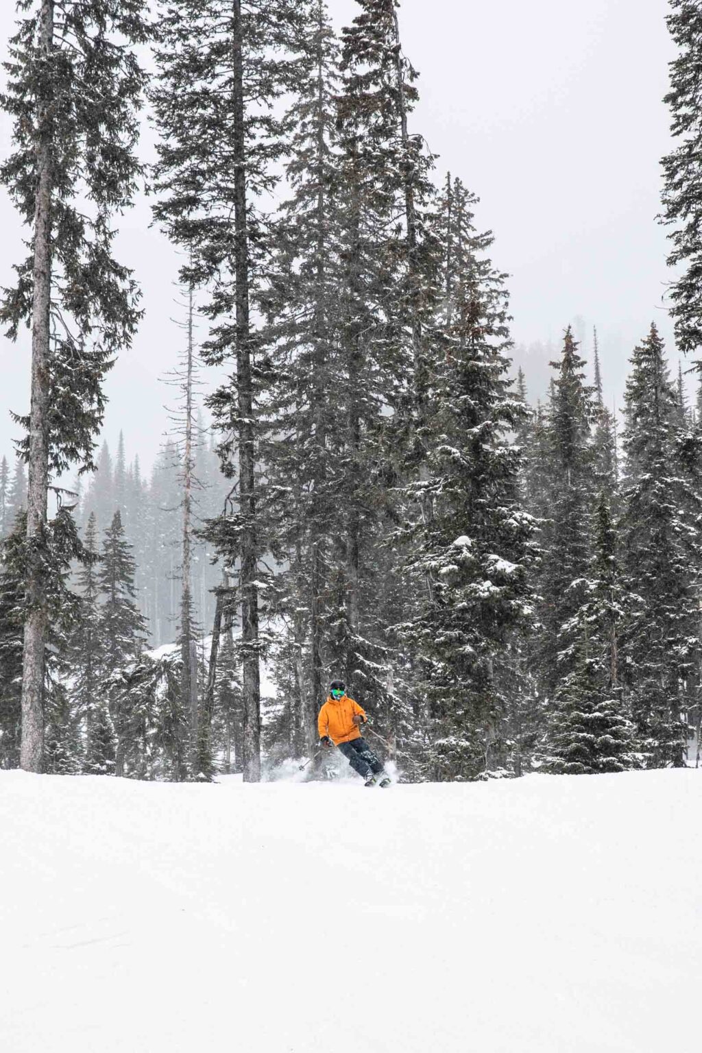 ultimate winter guide to road tripping the powder highway - alpine ...