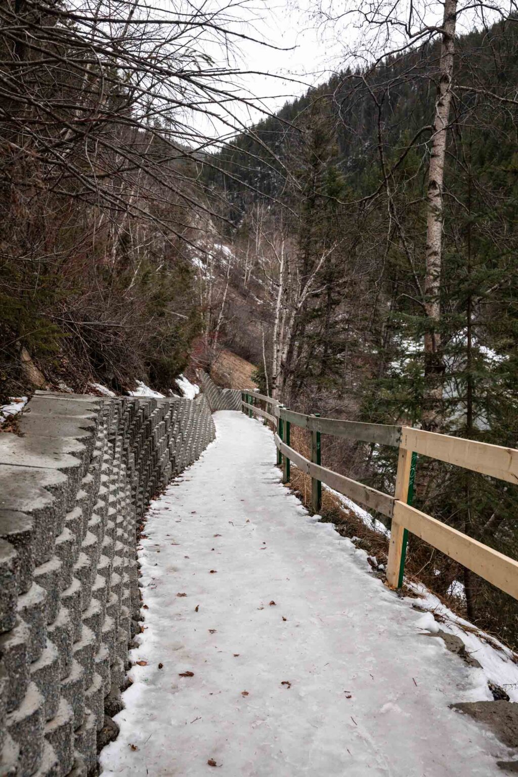 ultimate winter guide to road tripping the powder highway - alpine ...