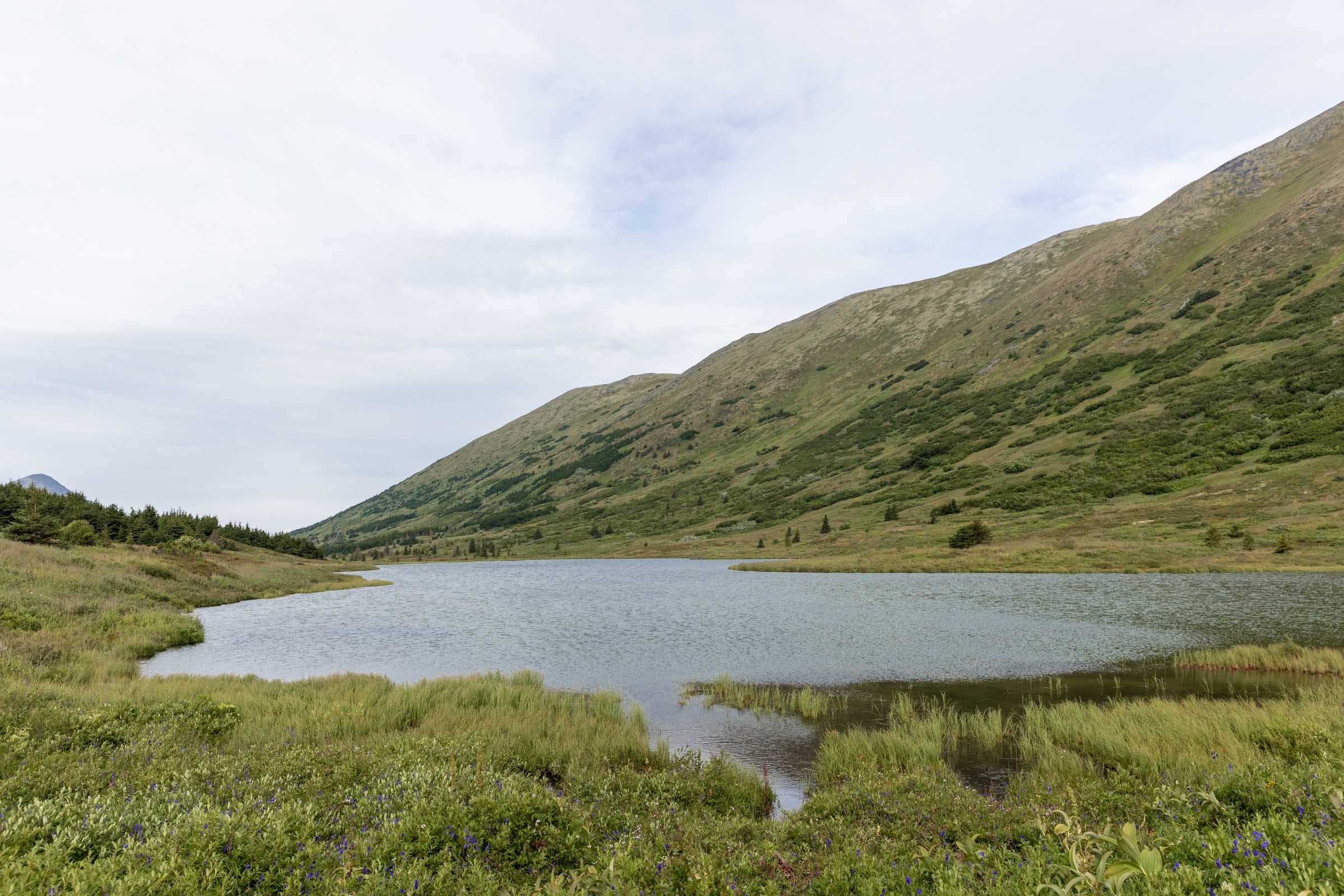 overlooking kenai lake | slaughter ridge, cooper landing - alpine ...