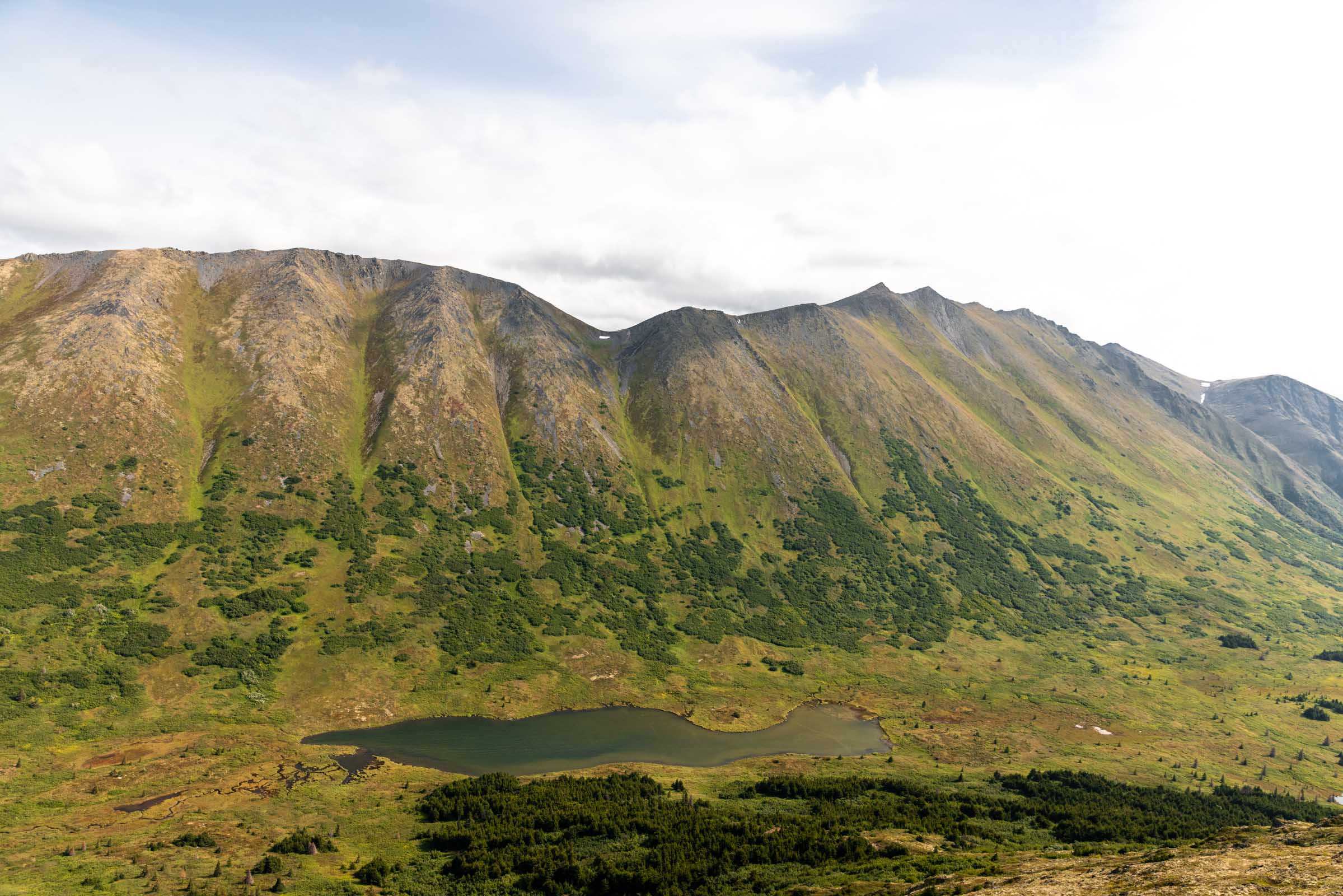 overlooking kenai lake | slaughter ridge, cooper landing - alpine ...