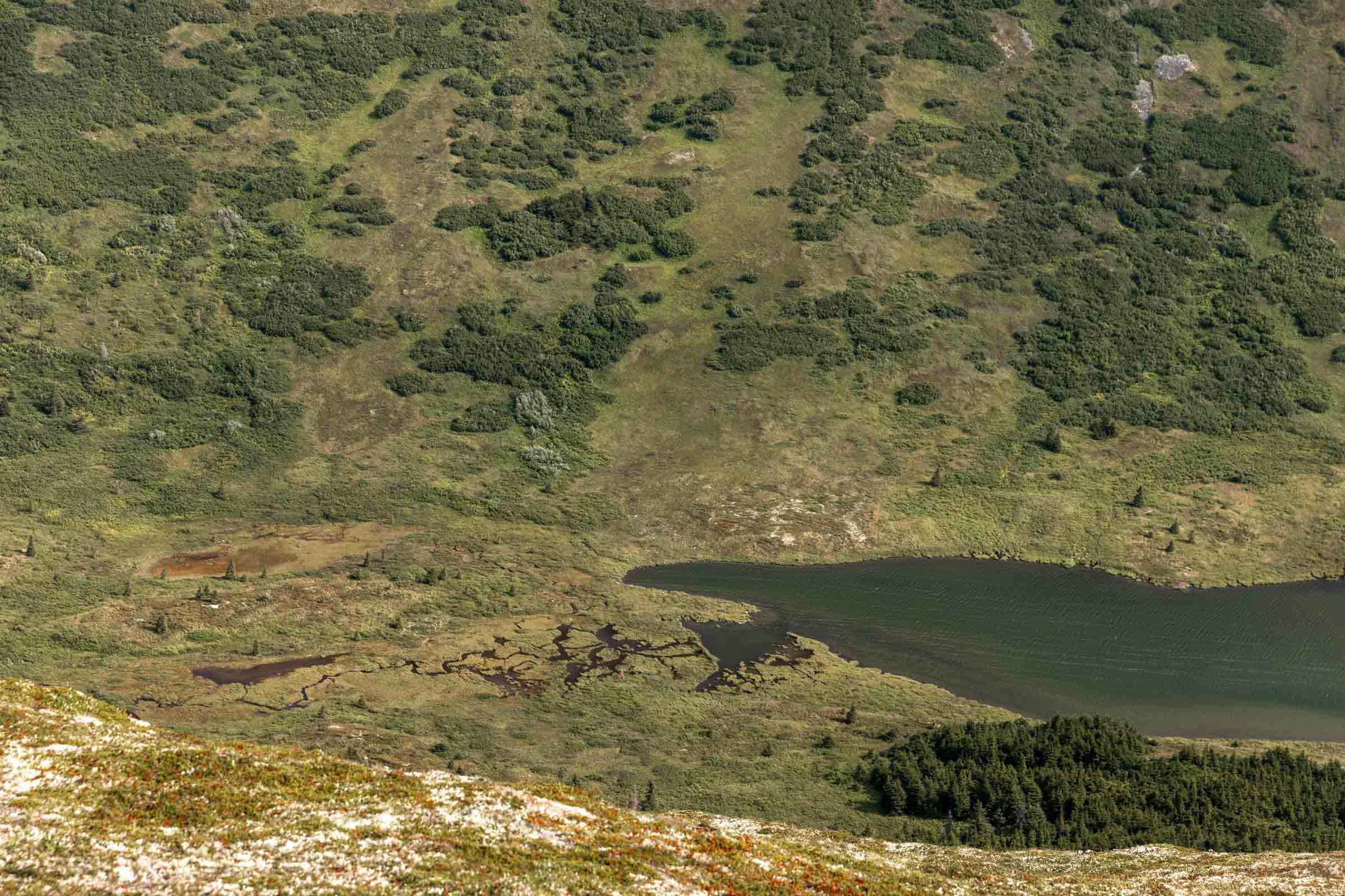 overlooking kenai lake | slaughter ridge, cooper landing - alpine ...