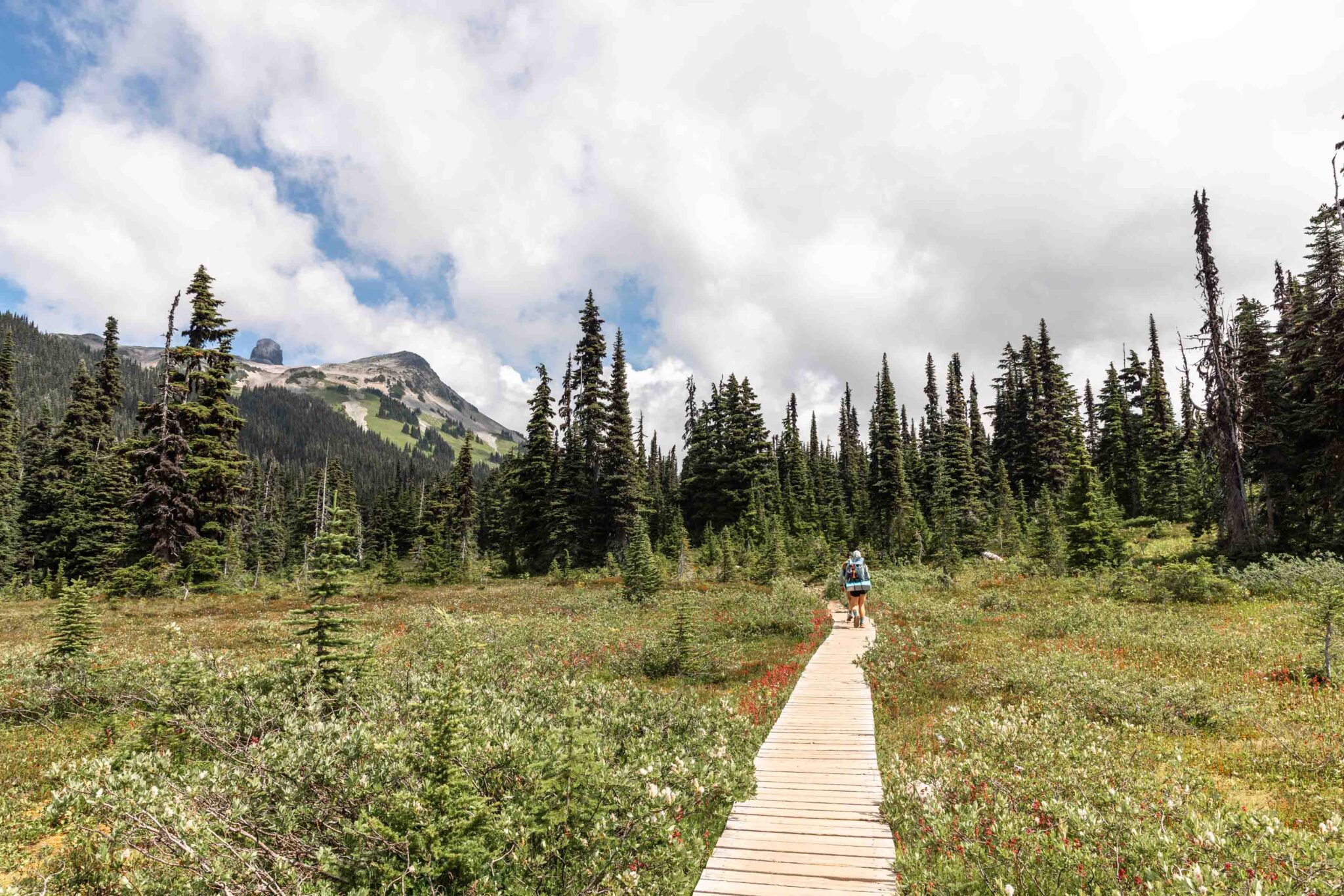 another way | panorama ridge via taylor meadows - alpine wanderlust