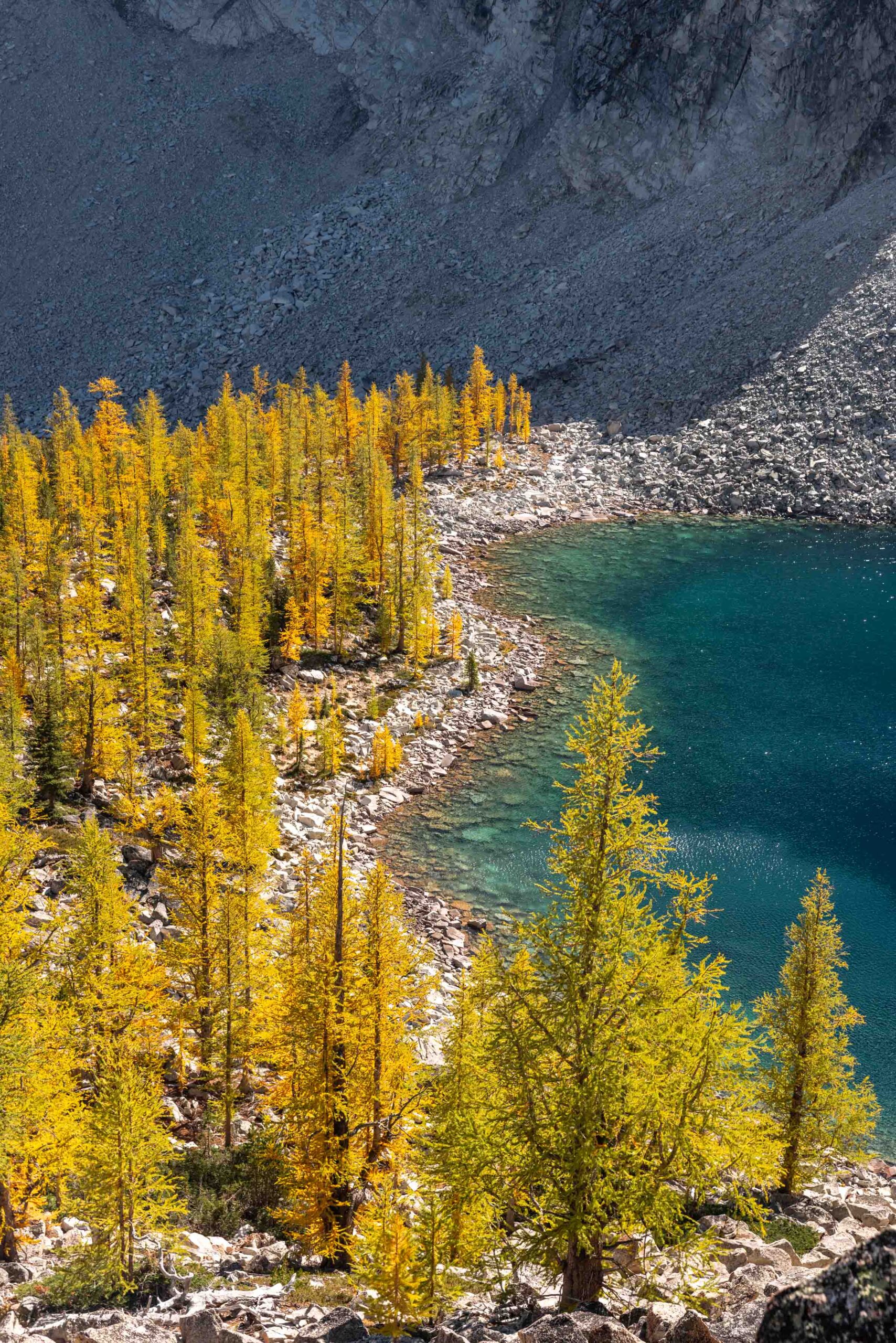 a larch guide | 20+ crowd-free washington hikes - alpine wanderlust