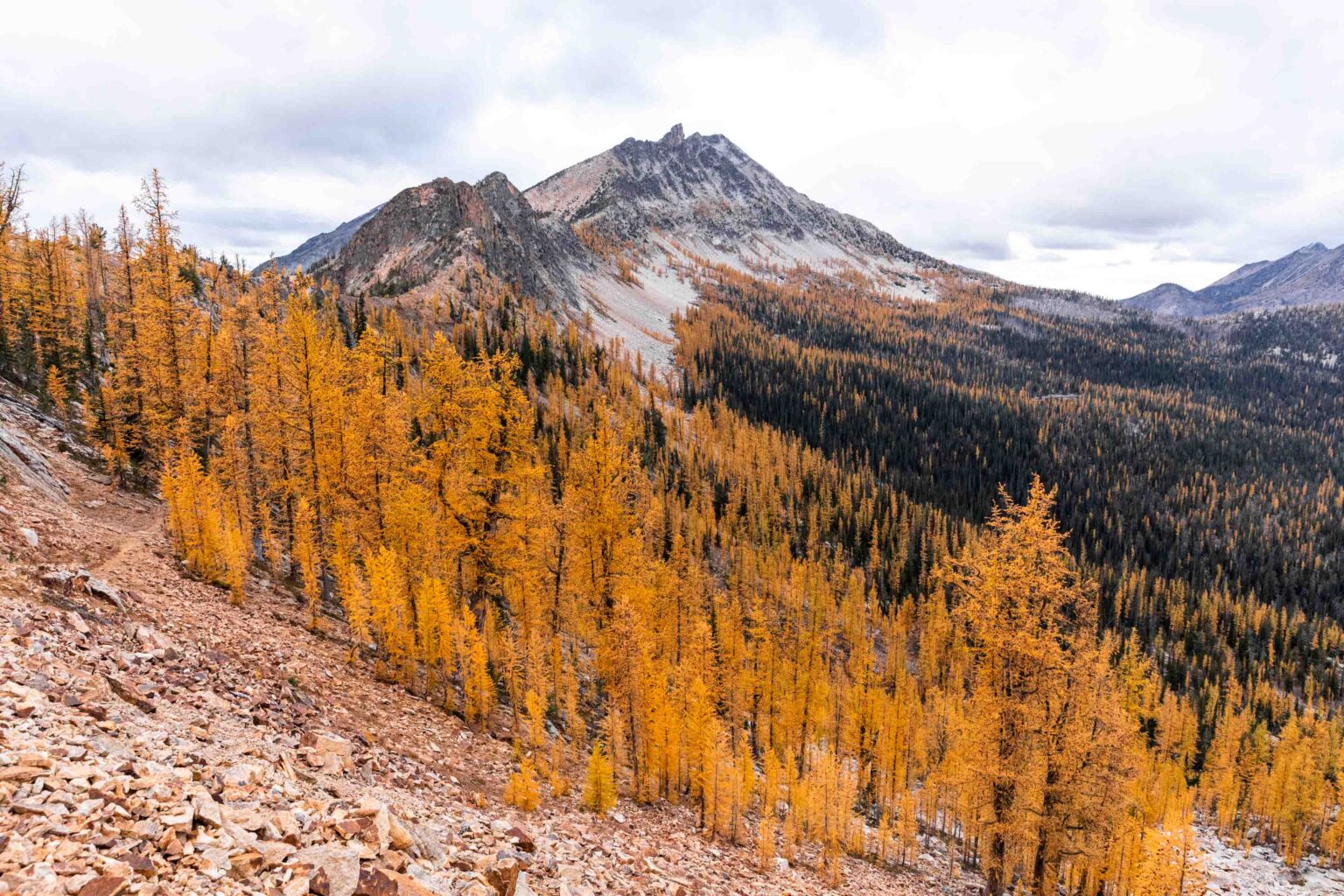 a larch guide | 20+ crowd-free washington hikes - alpine wanderlust