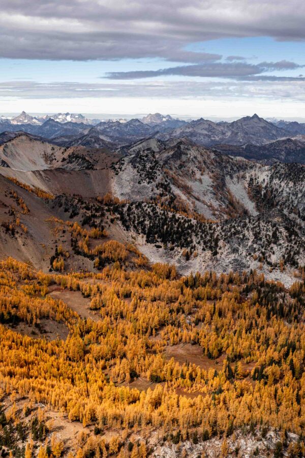 a larch guide | 20+ crowd-free washington hikes - alpine wanderlust