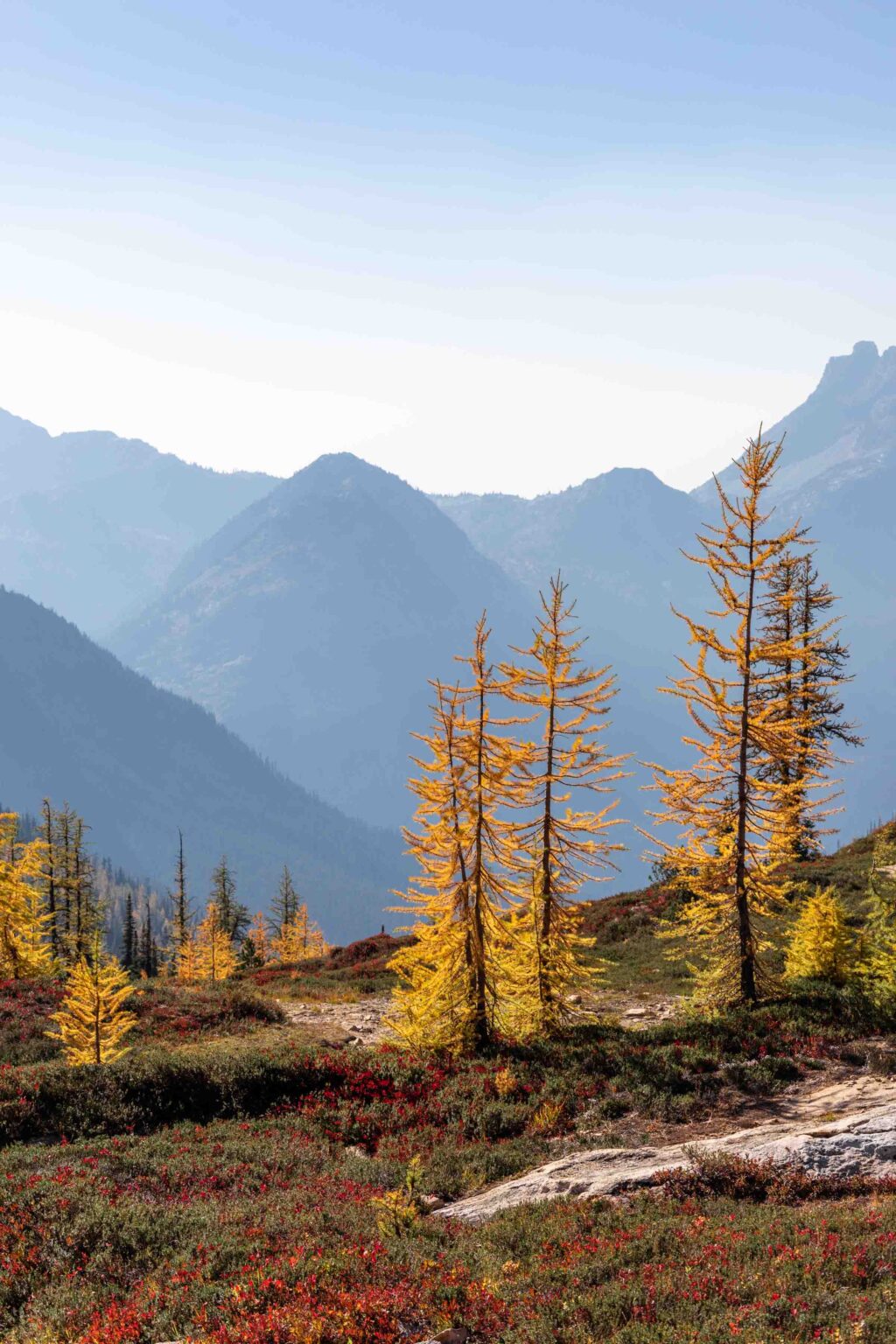 a larch guide | 20+ crowd-free washington hikes - alpine wanderlust