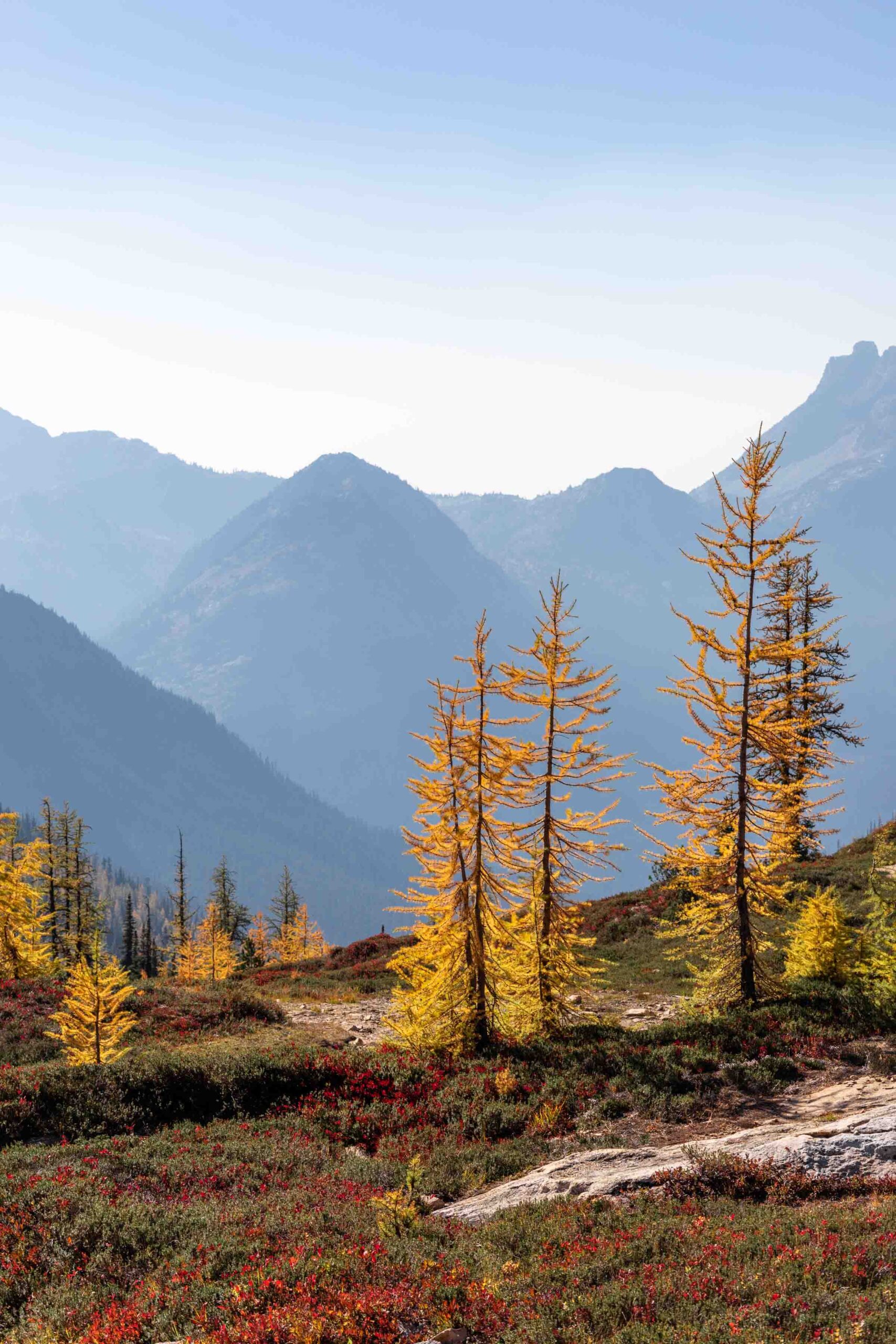a larch guide | 20+ crowd-free washington hikes - alpine wanderlust