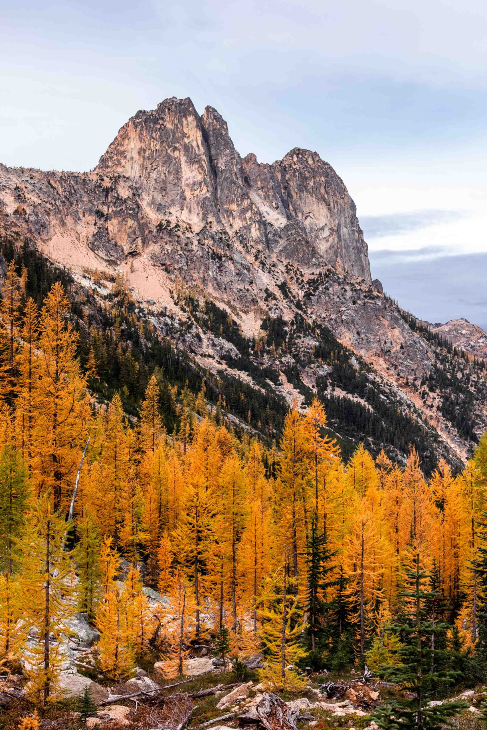 a larch guide | 20+ crowd-free washington hikes - alpine wanderlust