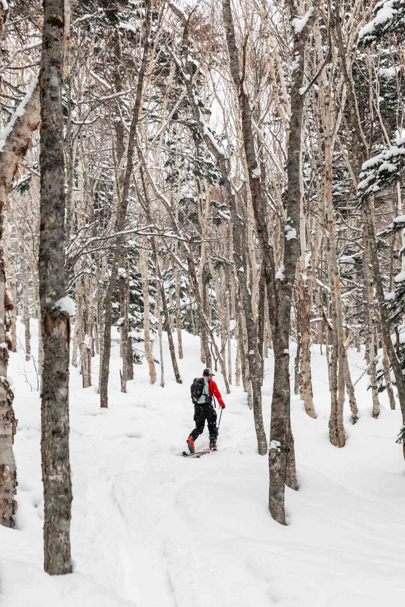 ghost of yōtei | ski tour via makkari - alpine wanderlust