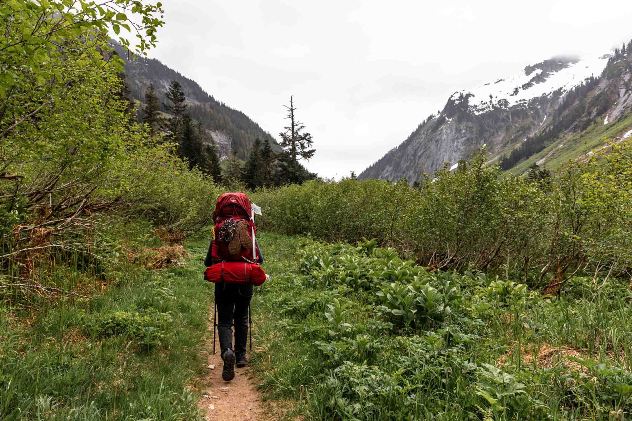 snow and wildflowers | hannegan peak backpacking - alpine wanderlust